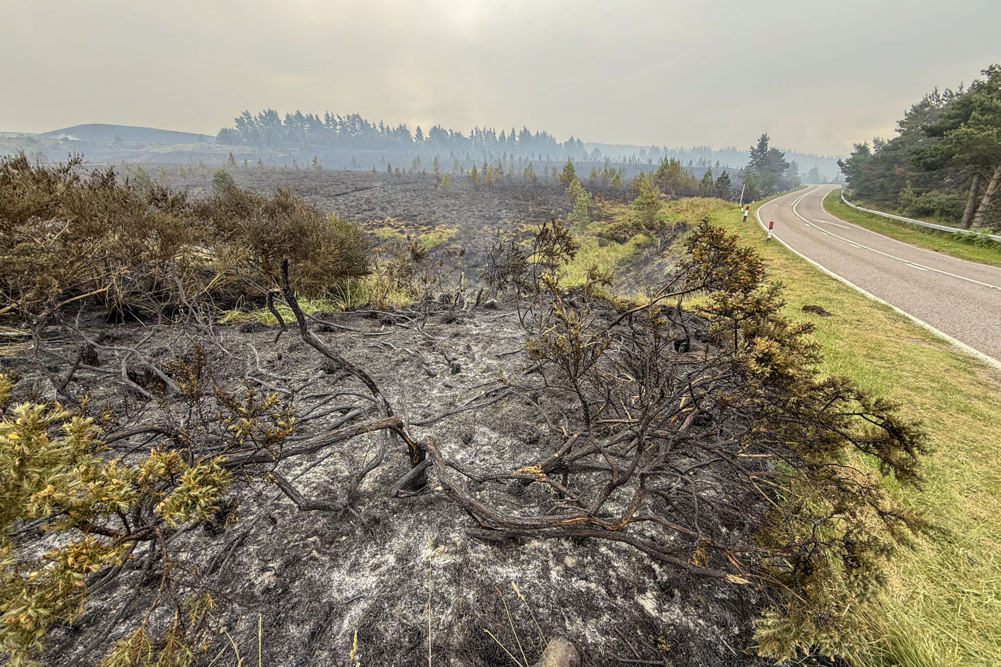 Forres news, information and events in IV36 | Forres Local